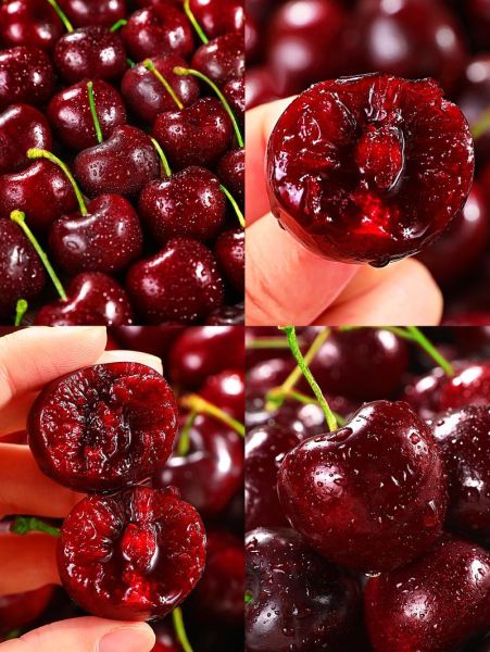 车厘子季节是哪几个月_车厘子几月份最好吃-第2张图片-山城妙识