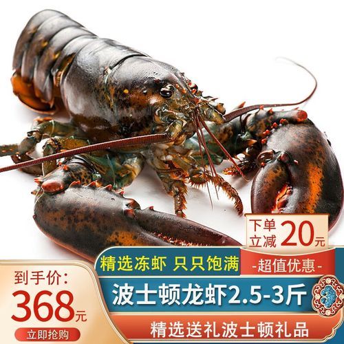 100斤波士顿大龙虾多少钱_100斤波士顿大龙虾怎么保存-第3张图片-山城妙识