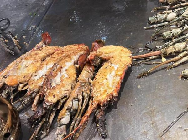 100斤波士顿大龙虾多少钱_100斤波士顿大龙虾怎么保存-第1张图片-山城妙识