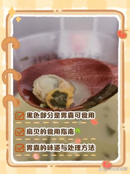 爷爷吃我小扇贝_真的可以吃吗-第2张图片-山城妙识