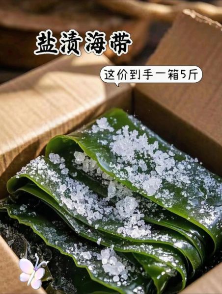 吃一个月海带能瘦多少斤_海带减肥的正确吃法-第2张图片-山城妙识