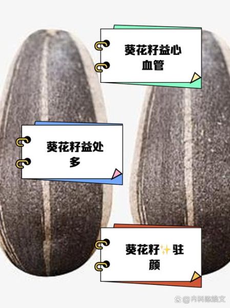 新鲜葵花籽的功效与作用_禁忌人群有哪些-第2张图片-山城妙识