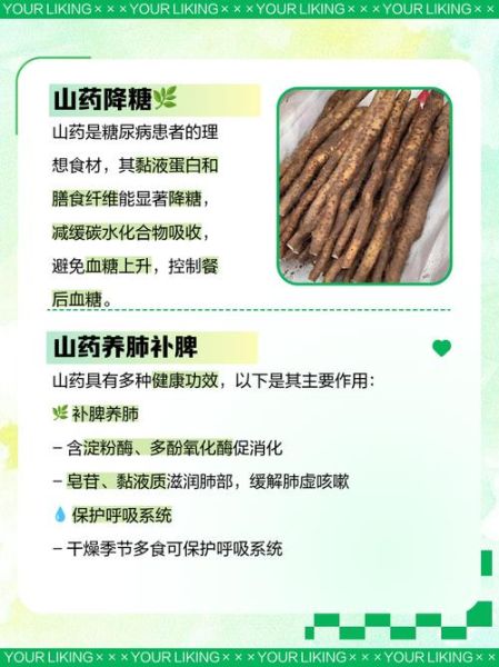 男人常吃山药的危害_长期吃山药的副作用-第1张图片-山城妙识 男人常吃山药的危害_长期吃山药的副作用-第1张图片-山城妙识