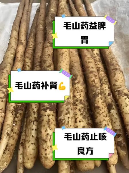 男人常吃山药的危害_长期吃山药的副作用-第2张图片-山城妙识 男人常吃山药的危害_长期吃山药的副作用-第2张图片-山城妙识