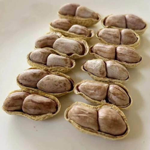 带壳干花生怎么煮好吃_带壳干花生煮多久才入味-第2张图片-山城妙识