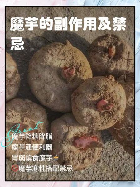 什么人不能吃魔芋_魔芋禁忌人群有哪些-第1张图片-山城妙识