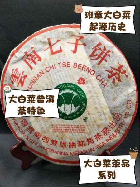 大白菜普洱茶是什么_大白菜普洱茶价格多少钱-第1张图片-山城妙识