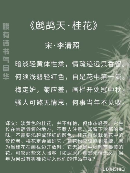鹧鸪天桂花李清照表达了什么情感_李清照为何偏爱桂花-第1张图片-山城妙识