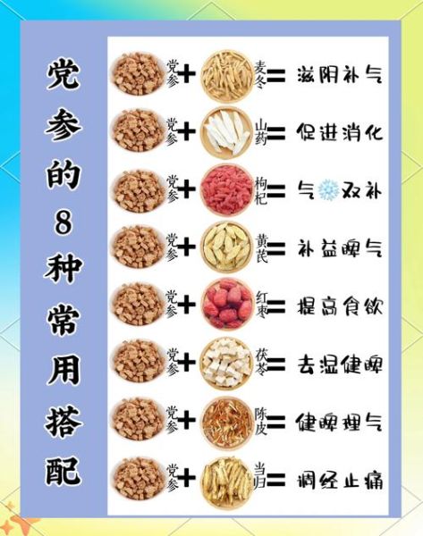 党参羊肉汤的功效与禁忌_冬天喝有什么好处-第1张图片-山城妙识