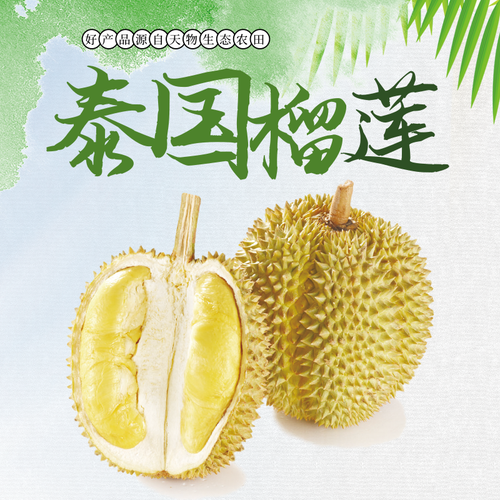 榴莲应用软件怎么下载_榴莲应用软件安全吗-第2张图片-山城妙识