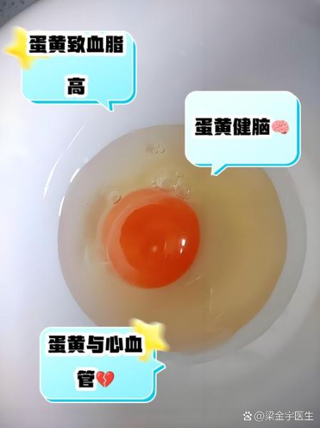蛋黄粉的危害有哪些_蛋黄粉吃多了会怎样-第3张图片-山城妙识