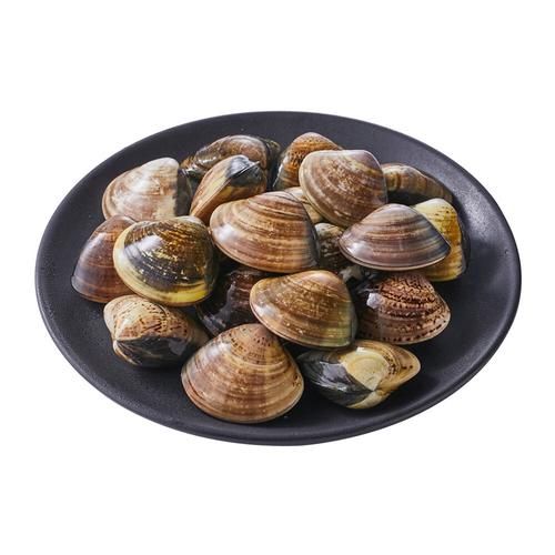 文蛤读音是什么_文蛤怎么读才标准-第1张图片-山城妙识 文蛤读音是什么_文蛤怎么读才标准-第1张图片-山城妙识