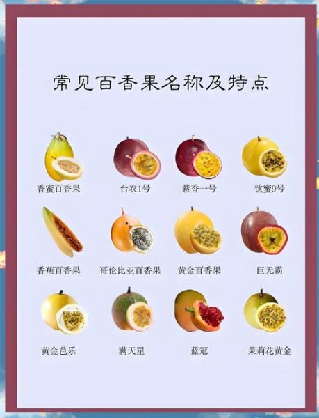 百香果怎么吃最好_百香果的功效有哪些-第2张图片-山城妙识