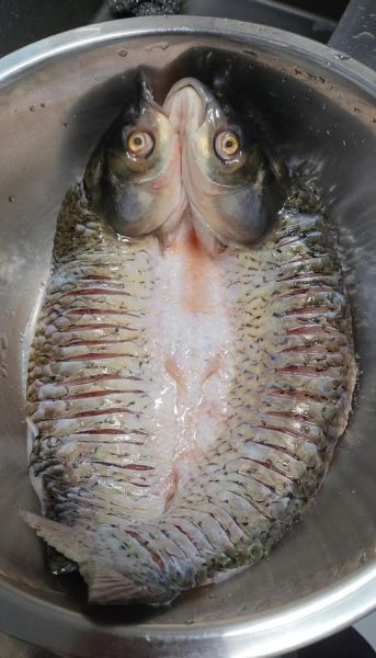 电烤箱烤鱼怎么做最好吃_电烤箱烤鱼温度时间-第2张图片-山城妙识