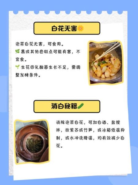 泡菜起白花怎么办_泡菜表面白色霉菌还能吃吗-第1张图片-山城妙识