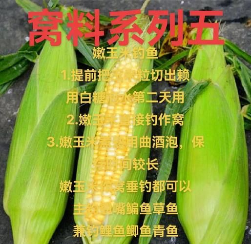 嫩玉米的营养价值_嫩玉米的功效与作用-第2张图片-山城妙识 嫩玉米的营养价值_嫩玉米的功效与作用-第2张图片-山城妙识