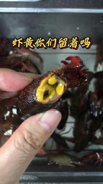 小龙虾怎么清洗才干净_小龙虾清洗步骤图解-第3张图片-山城妙识