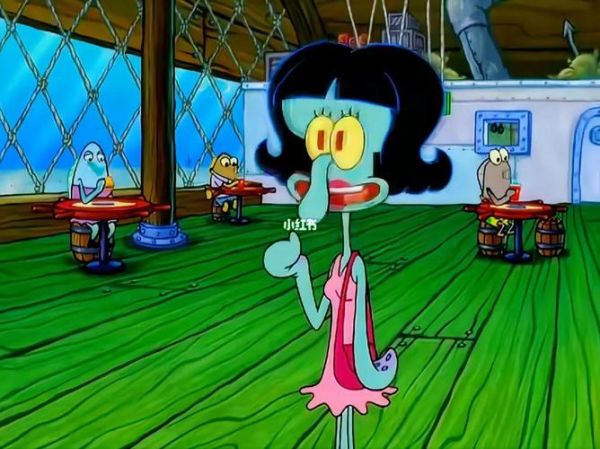 章鱼妹是什么_章鱼妹怎么养-第1张图片-山城妙识