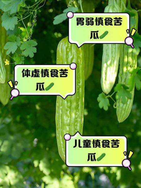 苦瓜不能和什么一起吃_哪些人不宜吃苦瓜-第1张图片-山城妙识 苦瓜不能和什么一起吃_哪些人不宜吃苦瓜-第1张图片-山城妙识