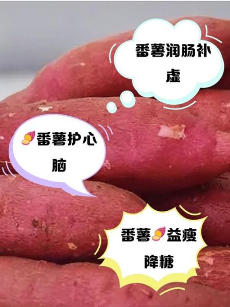 番薯的功效与禁忌_吃番薯会上火吗-第1张图片-山城妙识