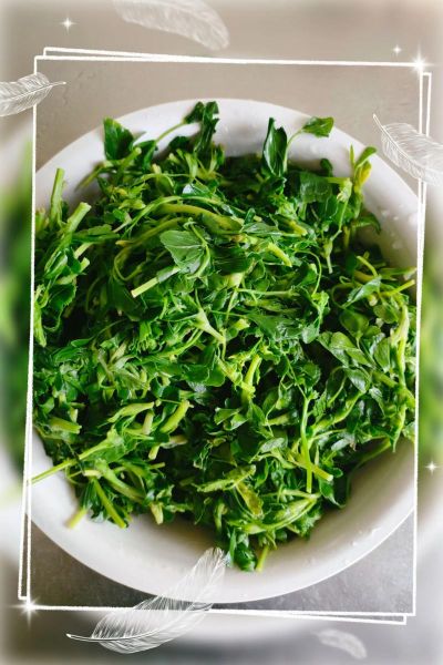 苜蓿配什么菜包饺子好吃_苜蓿饺子馅怎么调才香-第1张图片-山城妙识 苜蓿配什么菜包饺子好吃_苜蓿饺子馅怎么调才香-第1张图片-山城妙识