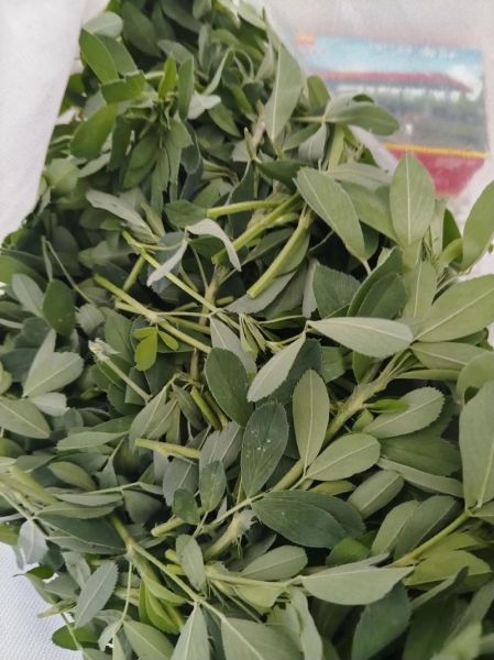 苜蓿配什么菜包饺子好吃_苜蓿饺子馅怎么调才香-第2张图片-山城妙识 苜蓿配什么菜包饺子好吃_苜蓿饺子馅怎么调才香-第2张图片-山城妙识