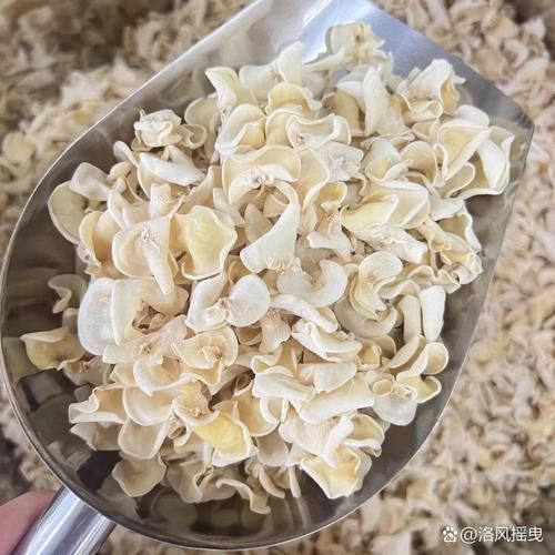 白木耳泡久了有毒吗_正确泡发时间-第2张图片-山城妙识 白木耳泡久了有毒吗_正确泡发时间-第2张图片-山城妙识