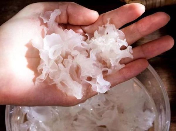 白木耳泡久了有毒吗_正确泡发时间-第3张图片-山城妙识 白木耳泡久了有毒吗_正确泡发时间-第3张图片-山城妙识