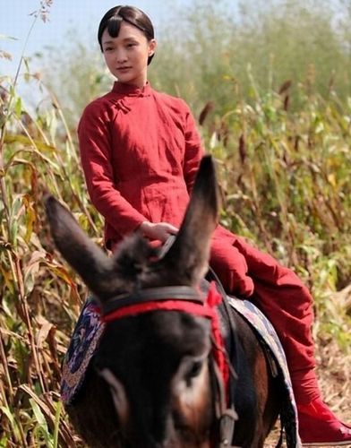 红高粱电视剧全集免费60集在哪看_红高粱电视剧全集免费60集在线观看-第1张图片-山城妙识 红高粱电视剧全集免费60集在哪看_红高粱电视剧全集免费60集在线观看-第1张图片-山城妙识