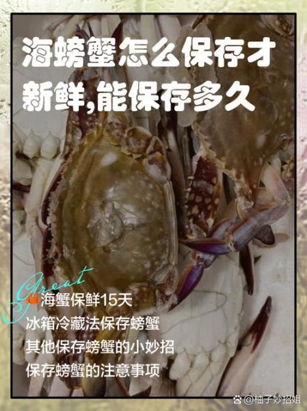 海蟹怎么保存最新鲜_活海蟹放冰箱能活多久-第1张图片-山城妙识 海蟹怎么保存最新鲜_活海蟹放冰箱能活多久-第1张图片-山城妙识