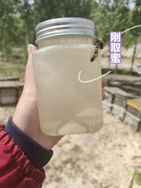 洋槐花蜂蜜真假辨别方法_如何鉴别槐花蜜-第3张图片-山城妙识