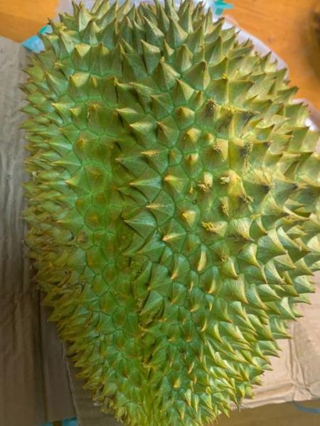 榴莲阳性是真的吗_吃榴莲会导致核酸假阳性吗-第3张图片-山城妙识