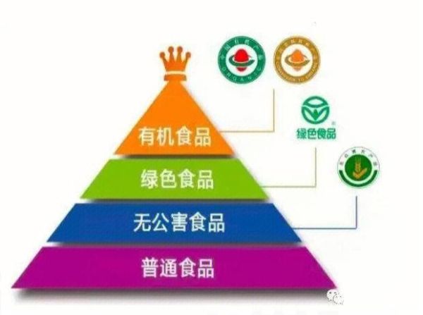 绿色健康食品有哪些_绿色健康食品排行榜-第2张图片-山城妙识 绿色健康食品有哪些_绿色健康食品排行榜-第2张图片-山城妙识