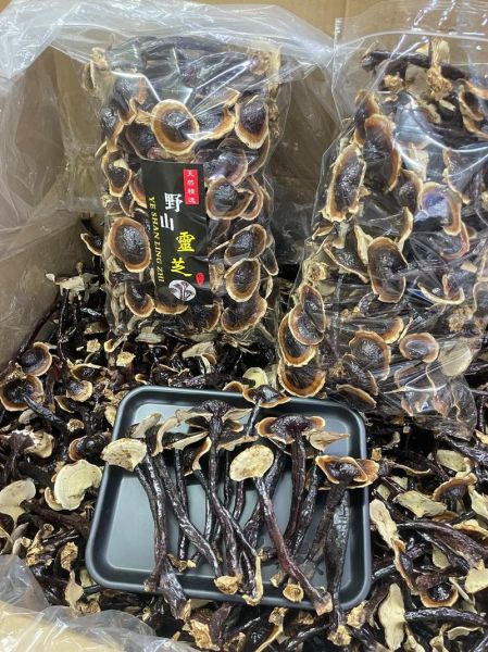干灵芝多少钱一斤_野生与栽培价格差多少-第2张图片-山城妙识