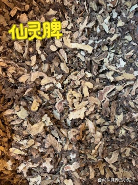 仙灵脾又叫什么_仙灵脾和淫羊藿一样吗-第3张图片-山城妙识