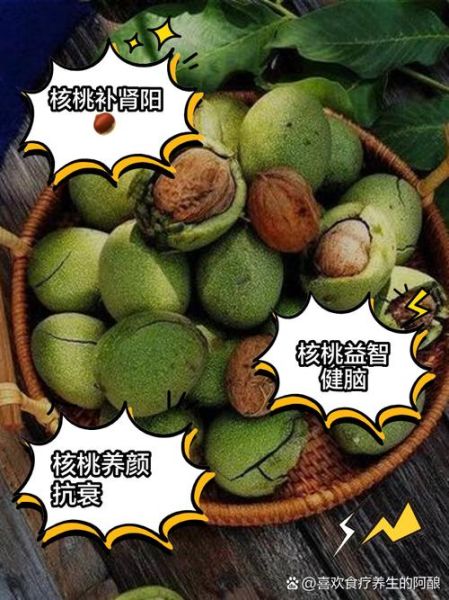 女人吃核桃的好处有哪些_女性每天吃核桃的最佳时间-第1张图片-山城妙识 女人吃核桃的好处有哪些_女性每天吃核桃的最佳时间-第1张图片-山城妙识