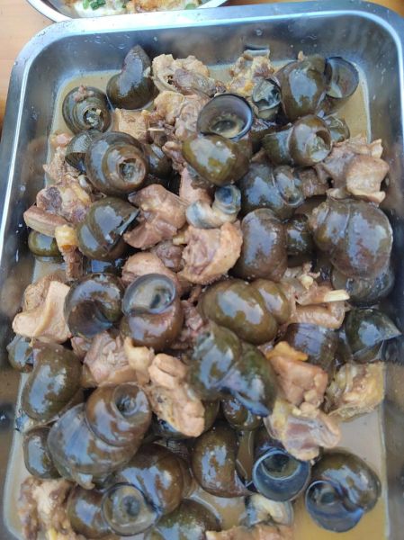 田螺煮鸡怎么做_田螺煮鸡最正宗的做法-第1张图片-山城妙识