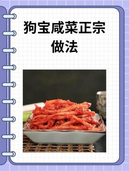 狗宝咸菜的功效与作用_狗宝咸菜怎么吃最健康-第1张图片-山城妙识
