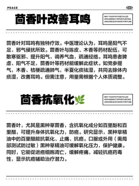 茴香叶的功效与作用_茴香叶怎么吃最好-第1张图片-山城妙识