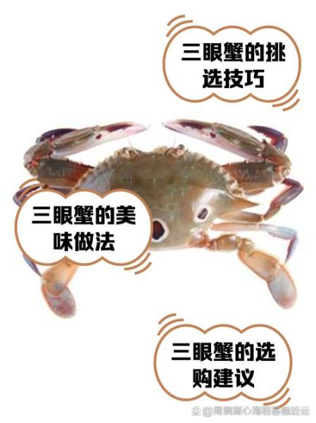 三眼蟹和梭子蟹的区别_哪个更好吃-第2张图片-山城妙识 三眼蟹和梭子蟹的区别_哪个更好吃-第2张图片-山城妙识