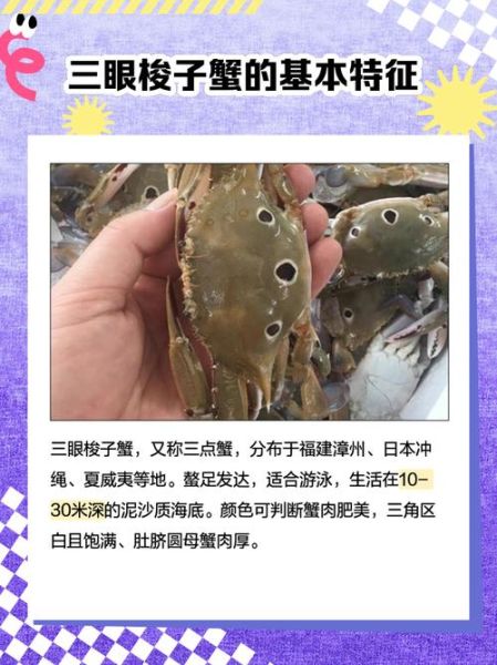 三眼蟹和梭子蟹的区别_哪个更好吃-第3张图片-山城妙识 三眼蟹和梭子蟹的区别_哪个更好吃-第3张图片-山城妙识