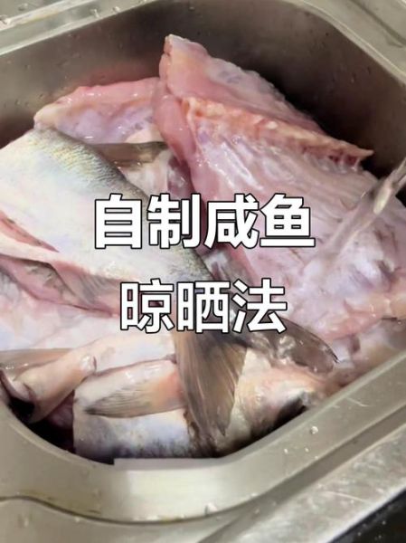 怎样腌咸鱼_咸鱼腌制方法大全-第1张图片-山城妙识