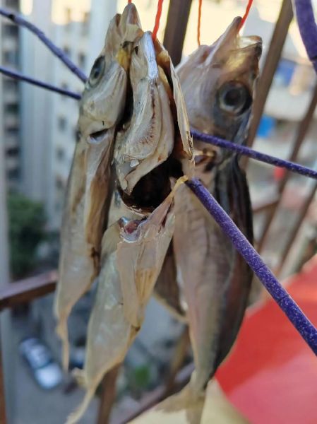 怎样腌咸鱼_咸鱼腌制方法大全-第2张图片-山城妙识