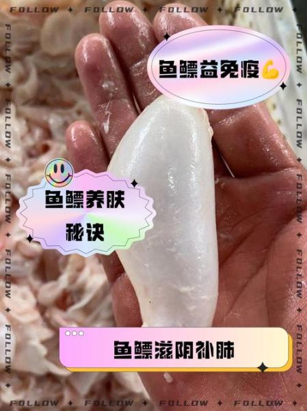 鳘鱼鳔的功效与作用_鳘鱼鳔怎么吃最补-第1张图片-山城妙识