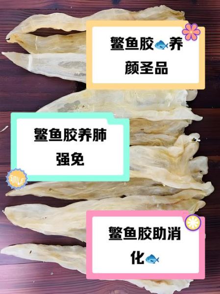鳘鱼鳔的功效与作用_鳘鱼鳔怎么吃最补-第2张图片-山城妙识