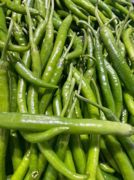 易消化的蔬菜有哪些_肠胃敏感吃什么菜好-第1张图片-山城妙识 易消化的蔬菜有哪些_肠胃敏感吃什么菜好-第1张图片-山城妙识