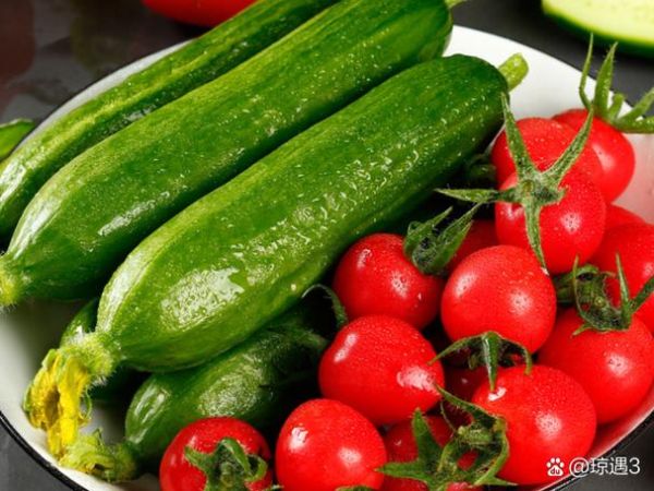 易消化的蔬菜有哪些_肠胃敏感吃什么菜好-第2张图片-山城妙识 易消化的蔬菜有哪些_肠胃敏感吃什么菜好-第2张图片-山城妙识