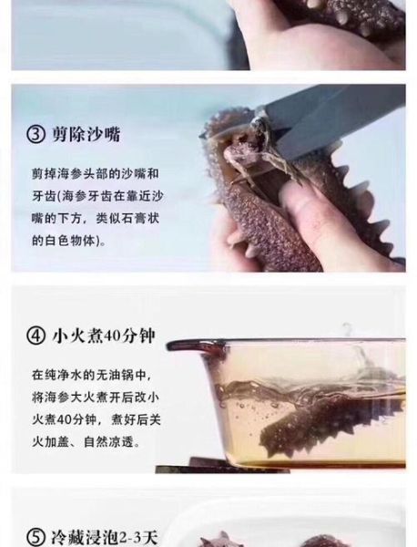盐渍海参怎么泡发_盐渍海参泡发多久-第2张图片-山城妙识