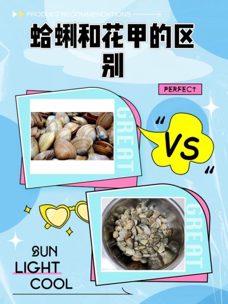 花甲和花蛤的区别_哪个更好吃-第1张图片-山城妙识 花甲和花蛤的区别_哪个更好吃-第1张图片-山城妙识