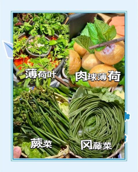 火锅配菜有哪些_火锅素菜推荐-第3张图片-山城妙识